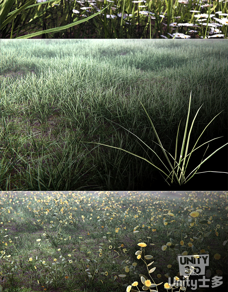 Unity3D写实花草植物模型包U3D植被杂草资产Ground Vegetation - 植物模型 - 绘图狗-设计灵感素材集散地