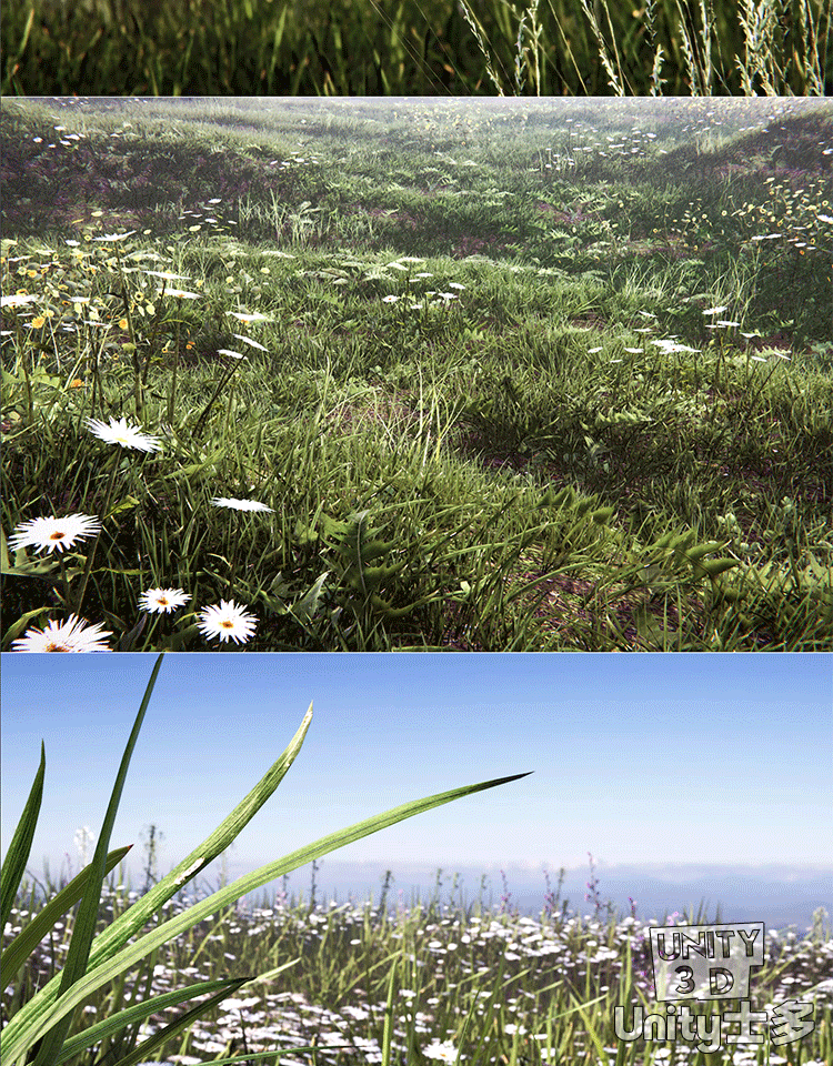 Unity3D写实花草植物模型包U3D植被杂草资产Ground Vegetation - 植物模型 - 绘图狗-设计灵感素材集散地