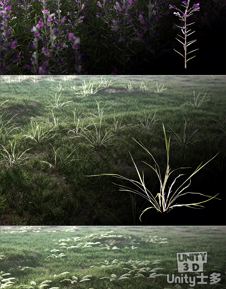 Unity3D写实花草植物模型包U3D植被杂草资产Ground Vegetation - 植物模型 - 绘图狗-设计灵感素材集散地