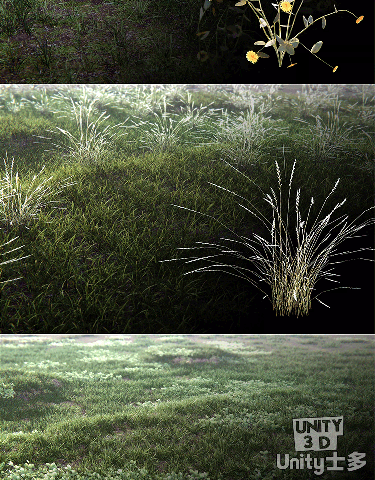 Unity3D写实花草植物模型包U3D植被杂草资产Ground Vegetation - 植物模型 - 绘图狗-设计灵感素材集散地