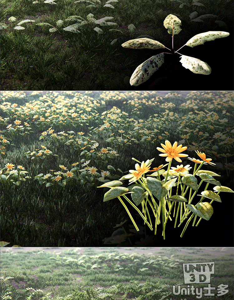 Unity3D写实花草植物模型包U3D植被杂草资产Ground Vegetation - 植物模型 - 绘图狗-设计灵感素材集散地
