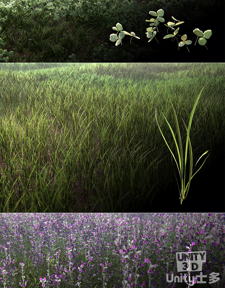 Unity3D写实花草植物模型包U3D植被杂草资产Ground Vegetation - 植物模型 - 绘图狗-设计灵感素材集散地