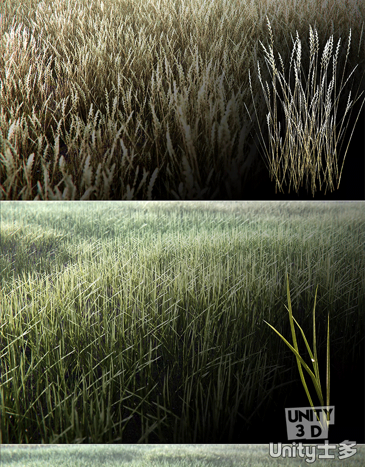 Unity3D写实花草植物模型包U3D植被杂草资产Ground Vegetation - 植物模型 - 绘图狗-设计灵感素材集散地