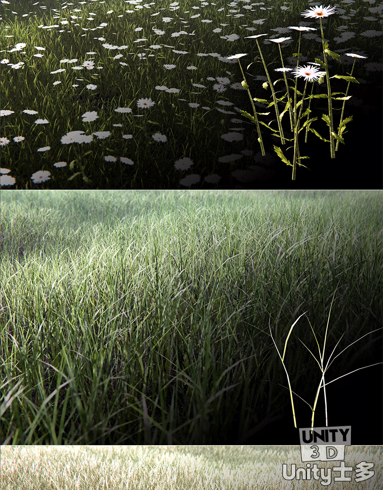 Unity3D写实花草植物模型包U3D植被杂草资产Ground Vegetation - 植物模型 - 绘图狗-设计灵感素材集散地