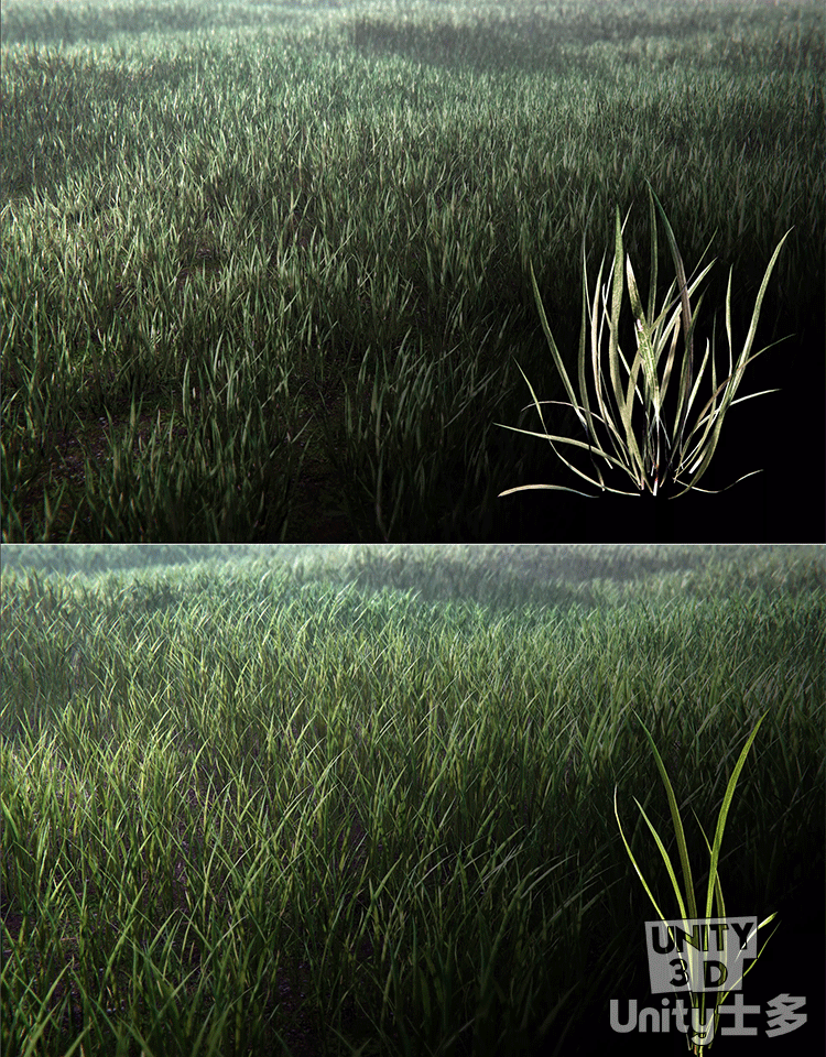 Unity3D写实花草植物模型包U3D植被杂草资产Ground Vegetation - 植物模型 - 绘图狗-设计灵感素材集散地