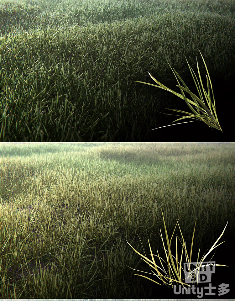 Unity3D写实花草植物模型包U3D植被杂草资产Ground Vegetation - 植物模型 - 绘图狗-设计灵感素材集散地