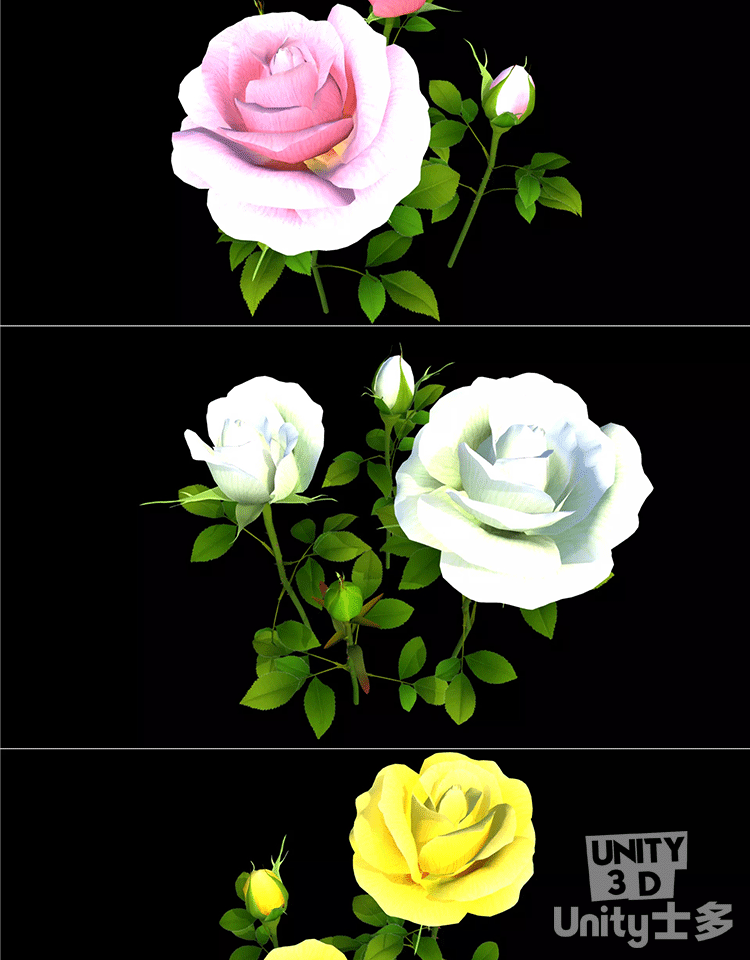 Unity3D卡通花卉花朵玫瑰花鲜花U3D模型Flower Rose Madiver 1.0 - 植物模型 - 绘图狗-设计灵感素材集散地