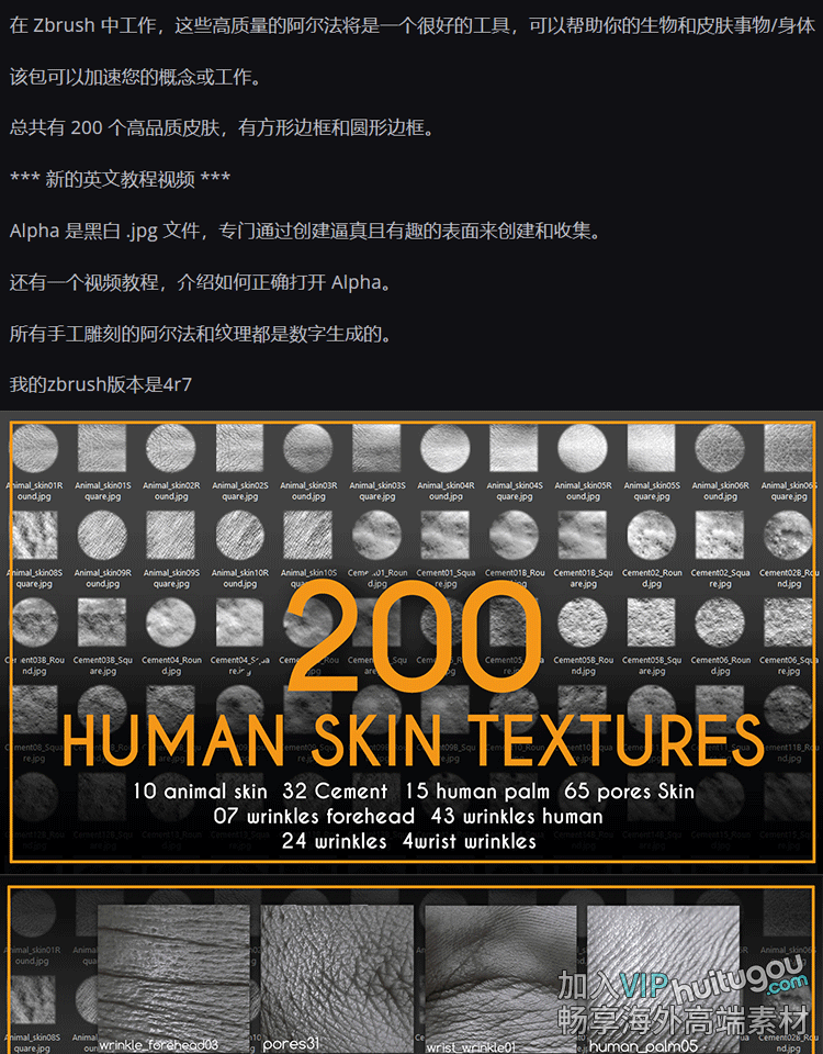 ZBrush人物角色人体皮肤纹理Alpha笔刷-200 Human Skin Textures - 人物皮肤 - 绘图狗-设计灵感素材集散地