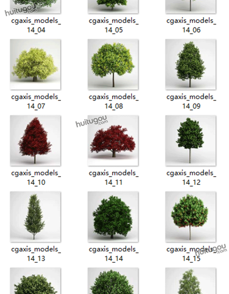 CGAXIS Trees-2[树]树木单体3D模型c4d max fbx obj素材源文件 - CGAxis单体模型 - 绘图狗-设计灵感素材集散地
