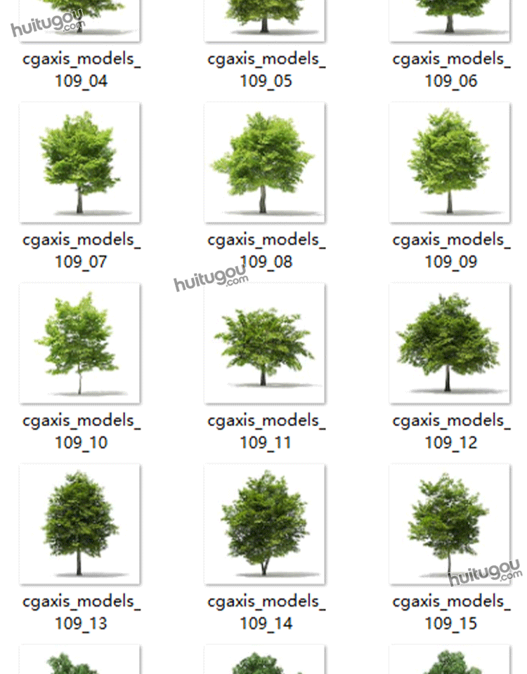 CGAXIS Trees-12[树]植物大树3D模型MAX素材C4D树木FBX格式OBJ - CGAxis单体模型 - 绘图狗-设计灵感素材集散地