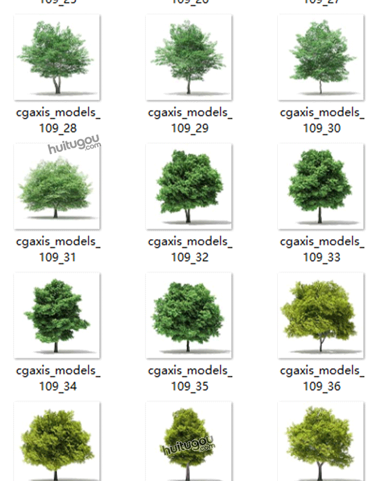 CGAXIS Trees-12[树]植物大树3D模型MAX素材C4D树木FBX格式OBJ - CGAxis单体模型 - 绘图狗-设计灵感素材集散地