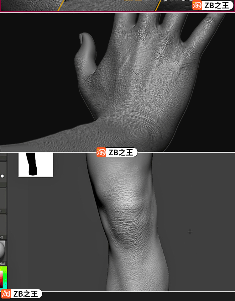 ZBrush笔刷41款逼真写实人体皮肤手脚脸部细节笔刷ZB人物雕刻素材 - 人物皮肤 - 绘图狗-设计灵感素材集散地