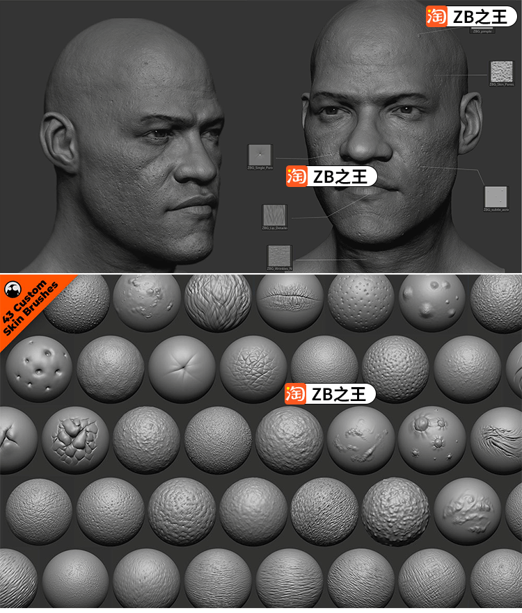 ZBrush笔刷43款人类男性脸部皮肤ZBP笔刷Alpha纹理贴图ZB建模雕刻 - 人物皮肤 - 绘图狗-设计灵感素材集散地